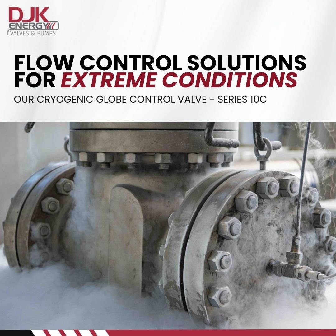 Unlock Precision and Efficiency with Globe Control Valve Series 10 ...